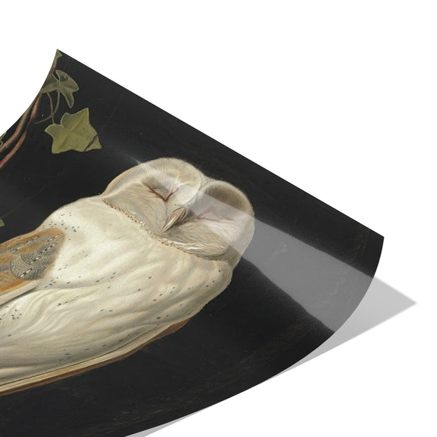 "The White Owl" by William James Webbe Matte Poster – Bleak Boutique